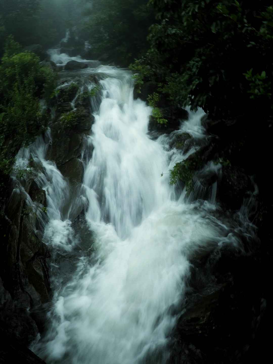 Honest, Useful Traveler Guides To Toranmal Hill Station 2022 | Tripoto