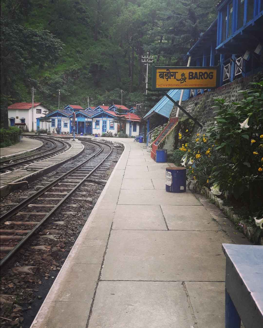 Honest, Useful Traveler Guides To Barog 2023 | Tripoto