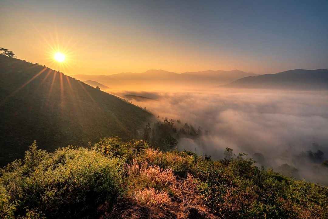 Honest, Useful Traveler Guides To Araku 2023 | Tripoto