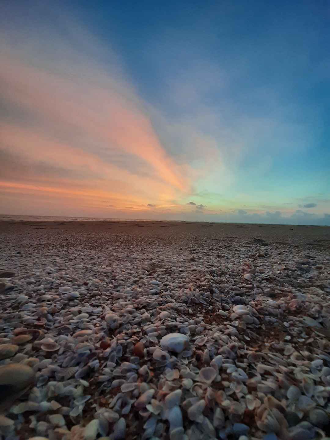 Honest, Useful Traveler Guides To Tirur 2021 | Tripoto