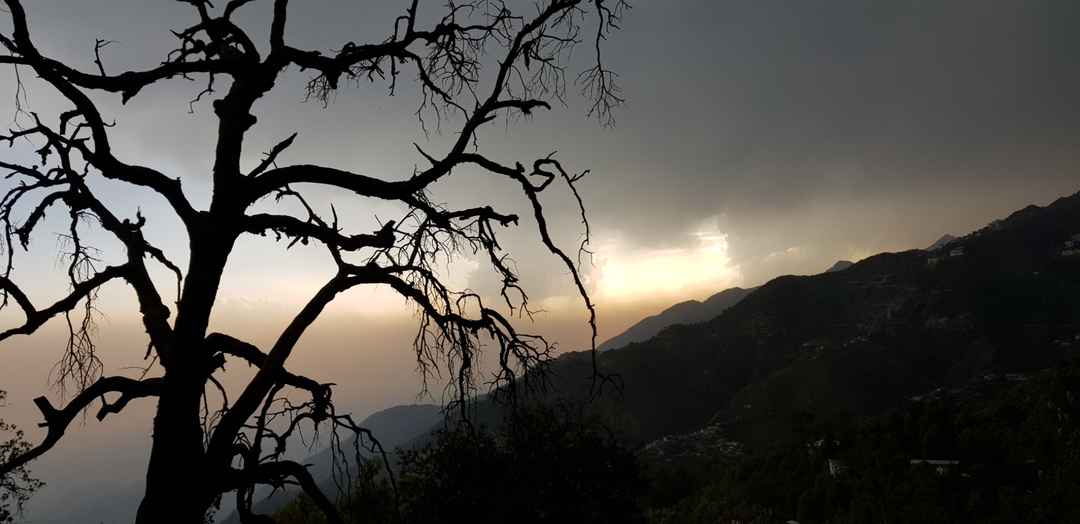 Rahul Panwar (@rahulpanwar5143394) Travel Blogger at Tripoto