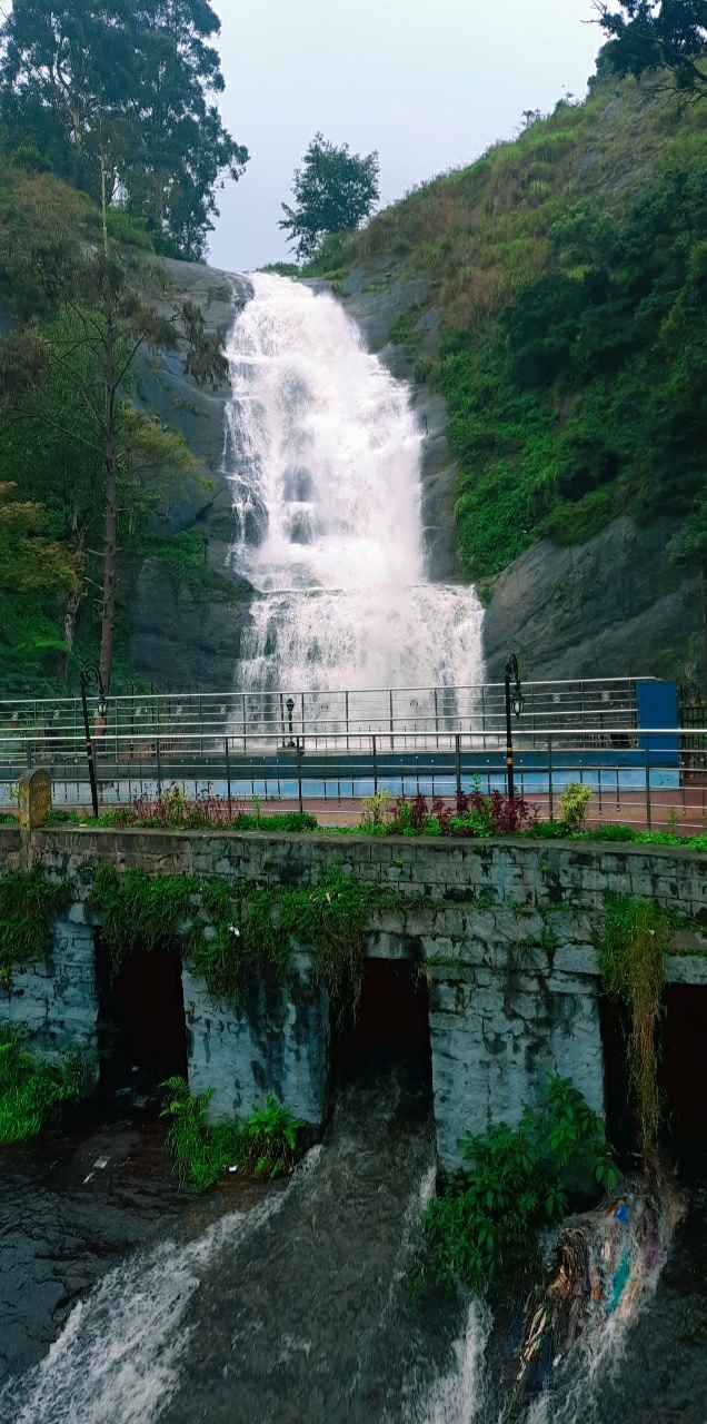 Honest, Useful Traveler Guides To Palani 2022 | Tripoto