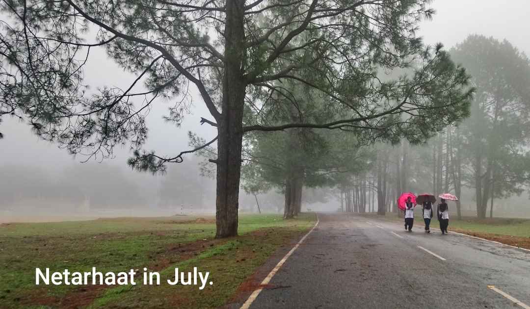 Honest, Useful Traveler Guides To Netarhat 2022 | Tripoto