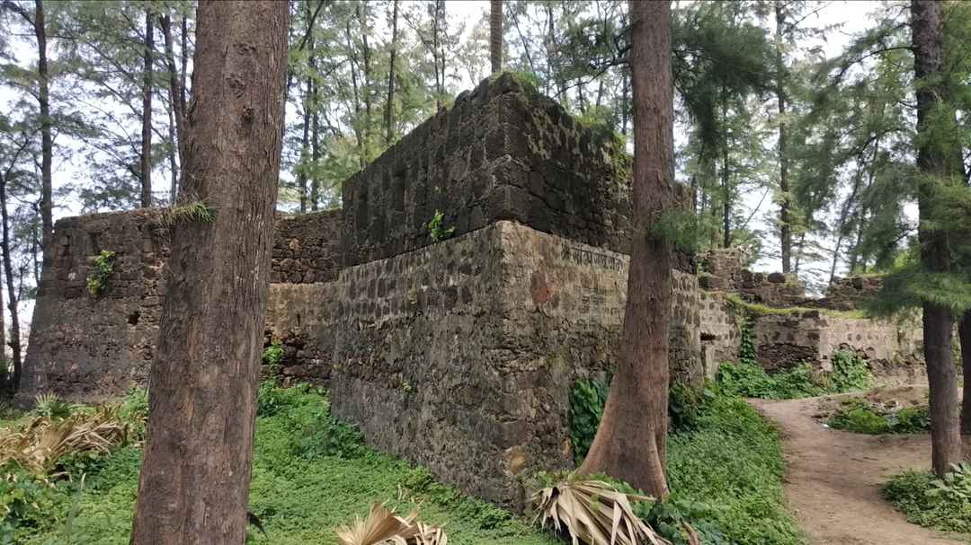 Honest, Useful Traveler Guides To Palghar 2022 | Tripoto