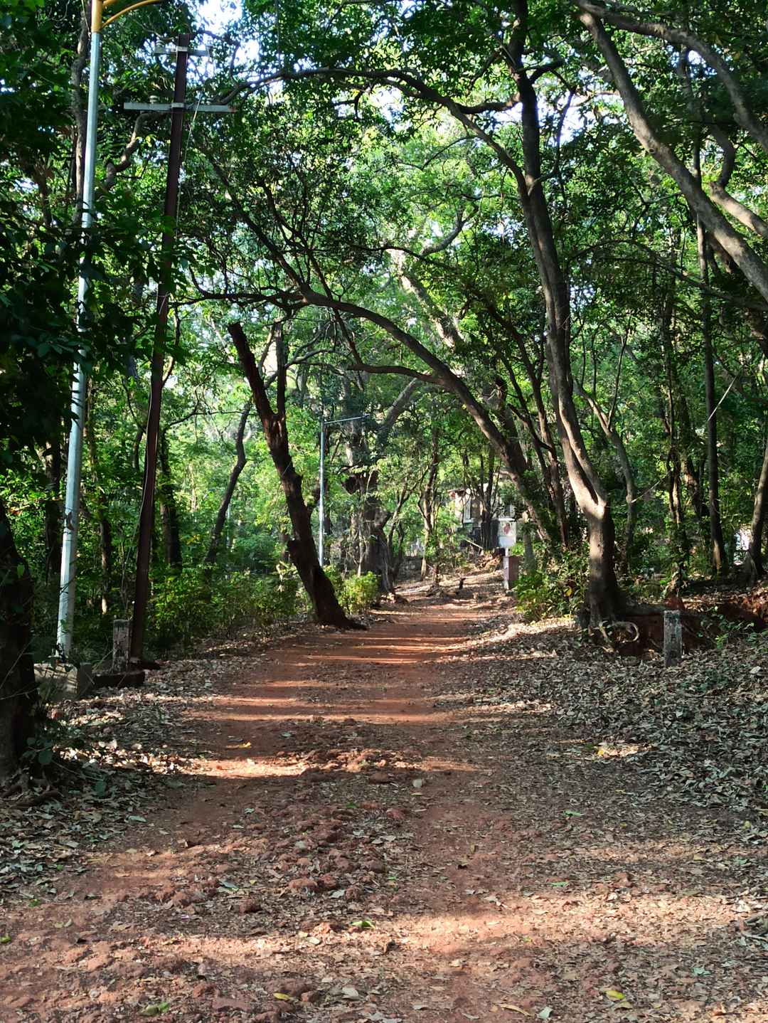 Neral-Matheran Toy Train, Matheran, India: View Images, Timing and ...