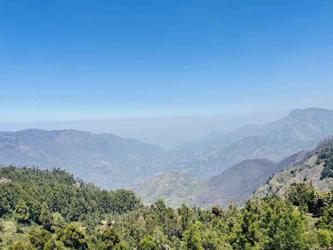 Honest, Useful Traveler Guides To Palani 2022 | Tripoto