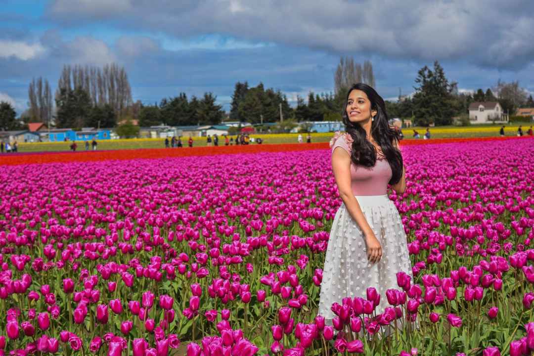 Tulip Flower Field Seattle | Best Flower Site