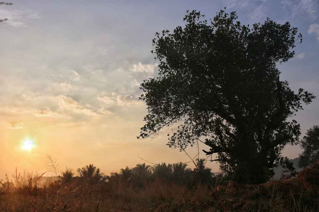 Honest, Useful Traveler Guides To Kudal 2022 | Tripoto