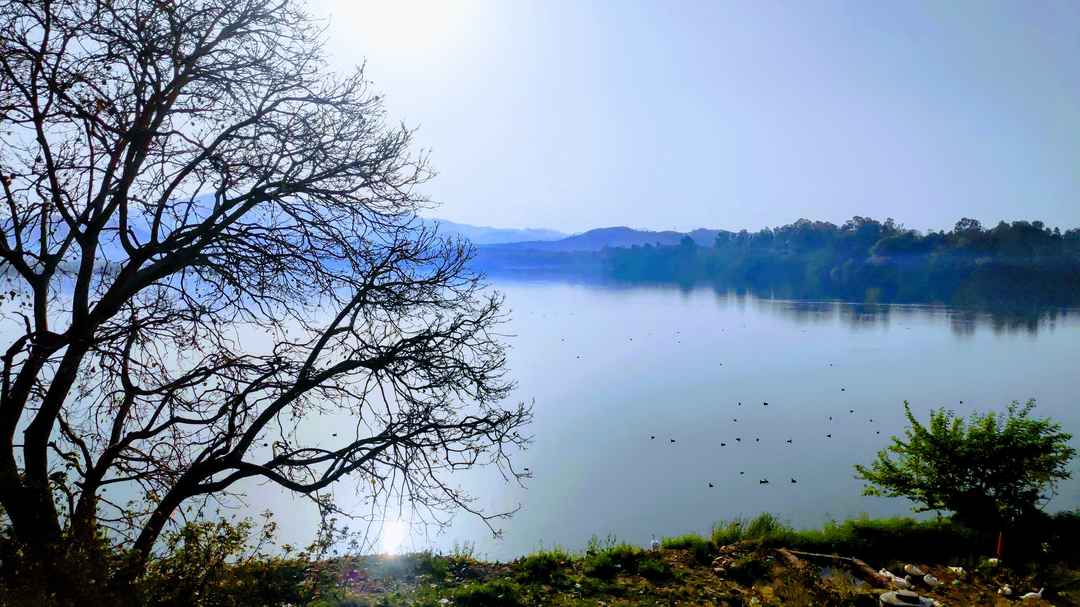 Honest, Useful Traveler Guides To Nangal 2022 | Tripoto