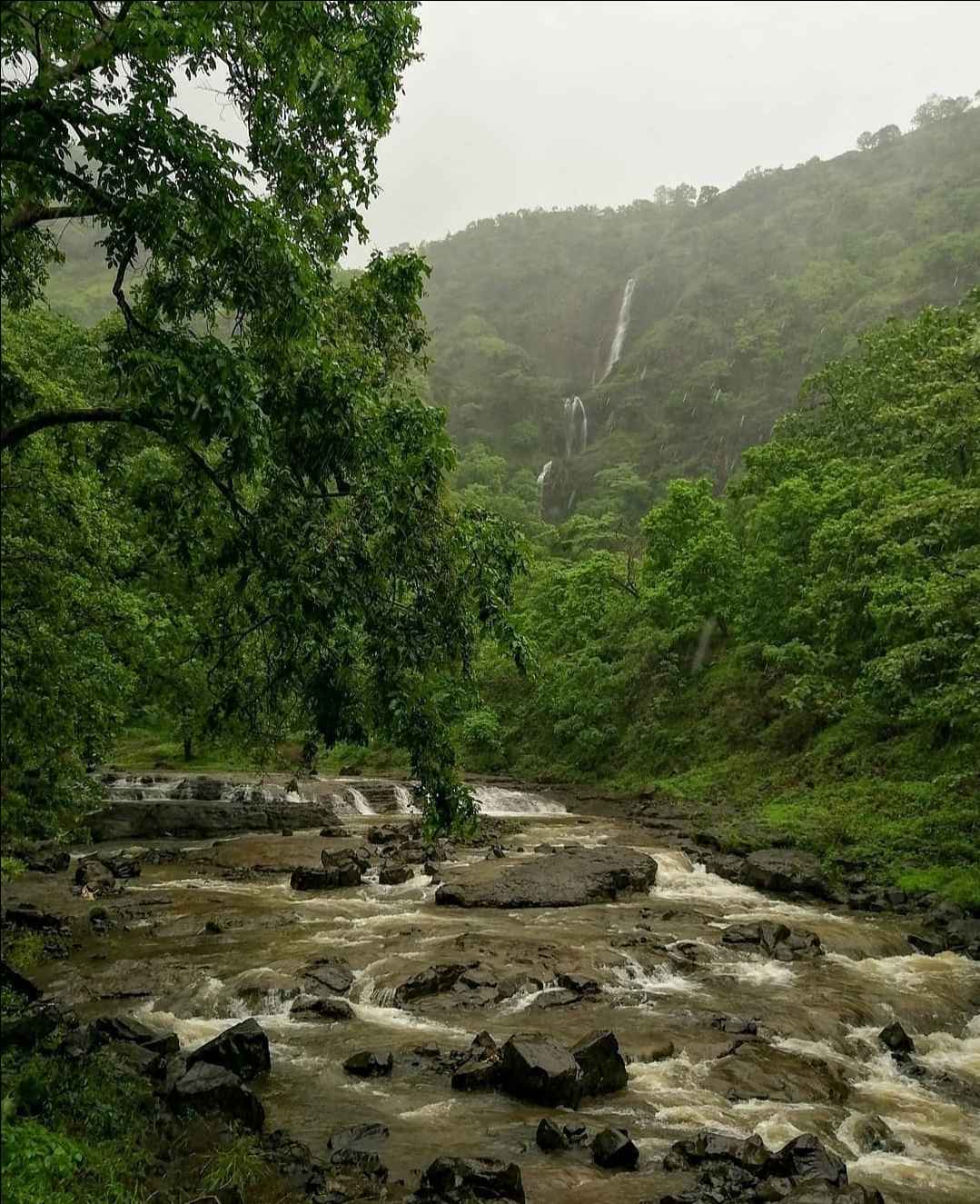 MelGhat Tiger Reserve, Amravati, India: View Images, Timing and Reviews ...