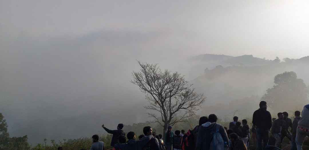 Honest, Useful Traveler Guides To Lambasingi 2022 | Tripoto