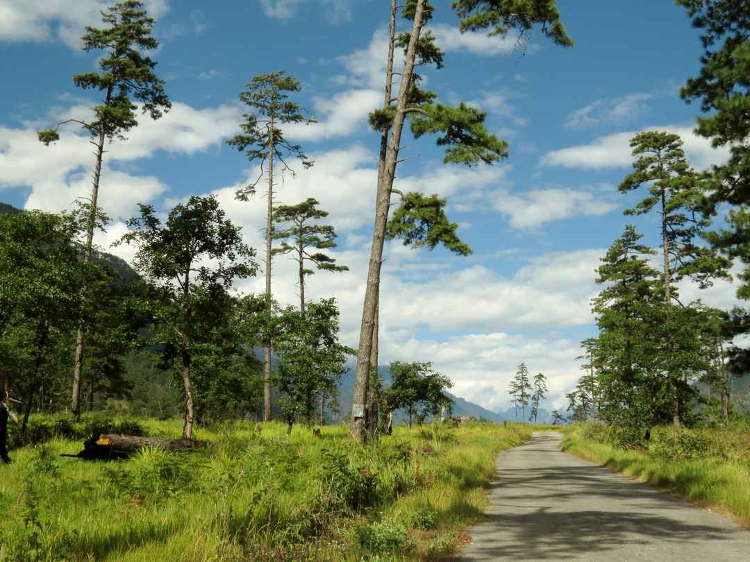 Rituraj Phukan (@riturajphukan) Travel Blogger at Tripoto