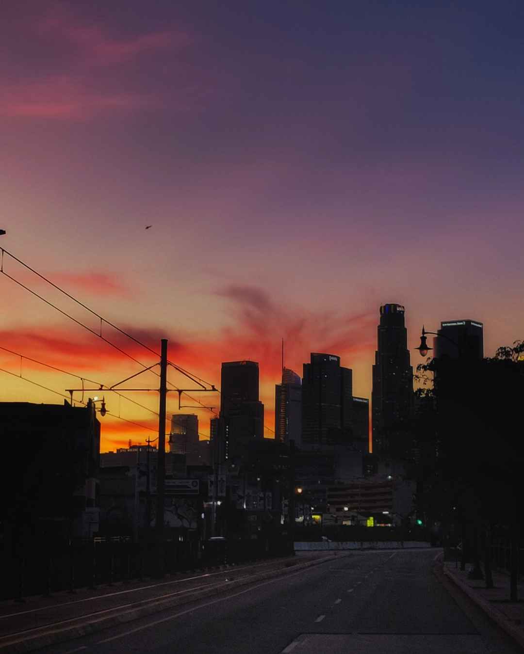 Honest, Useful Traveler Guides To Los Angeles 2022 | Tripoto