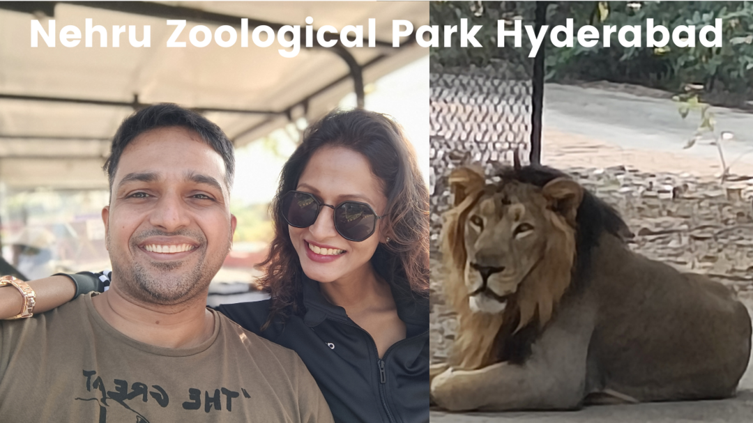 Nehru Zoological Park Hyderabad: A Wildlife Adventure You Don’t Want to ...