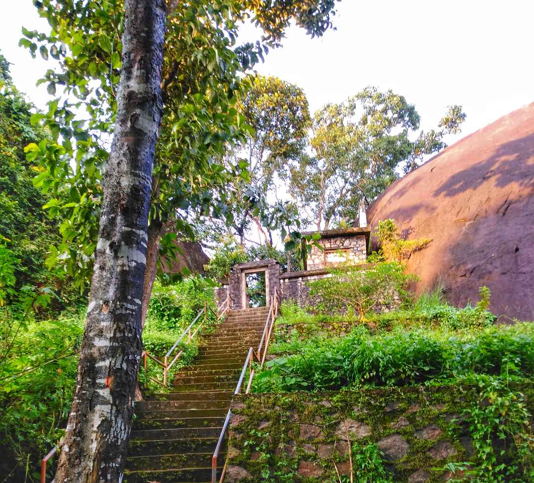 Honest, Useful Traveler Guides To Changanassery 2022 | Tripoto