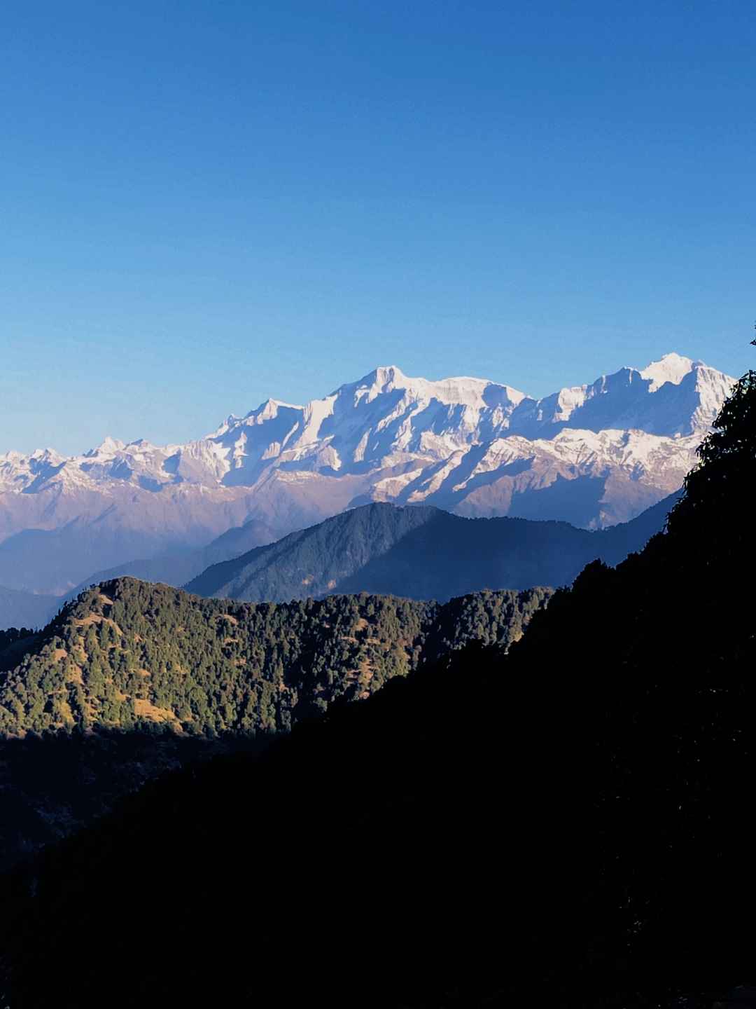 Honest, Useful Traveler Guides To Tungnath 2021 | Tripoto