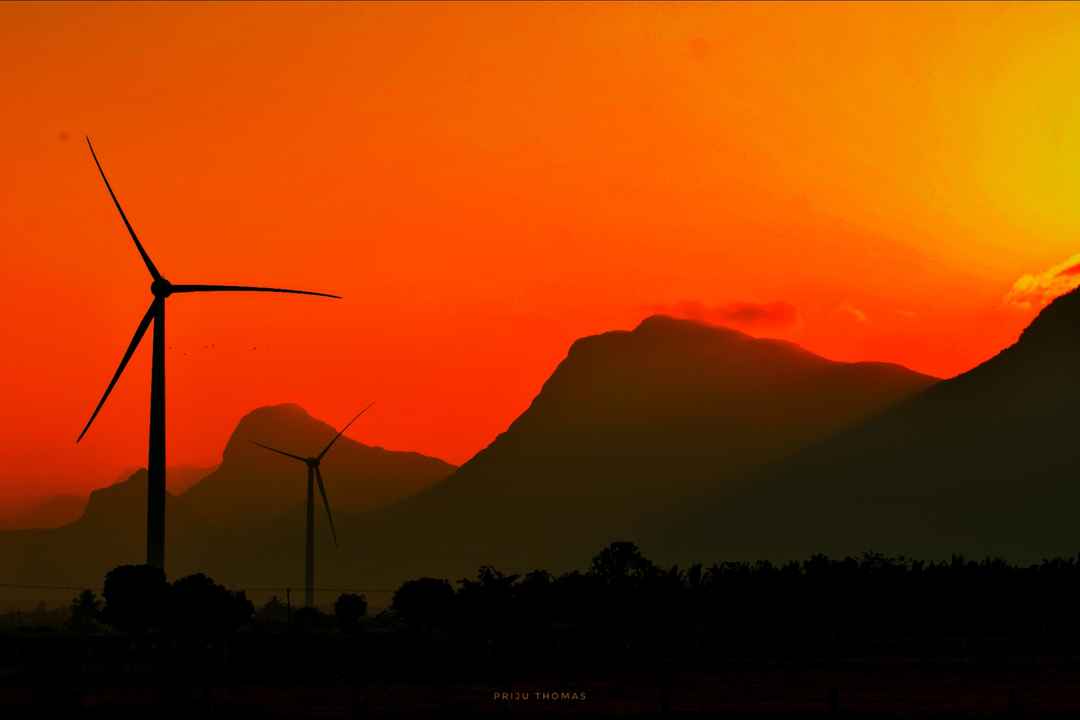 Honest, Useful Traveler Guides To Megamalai 2022 | Tripoto