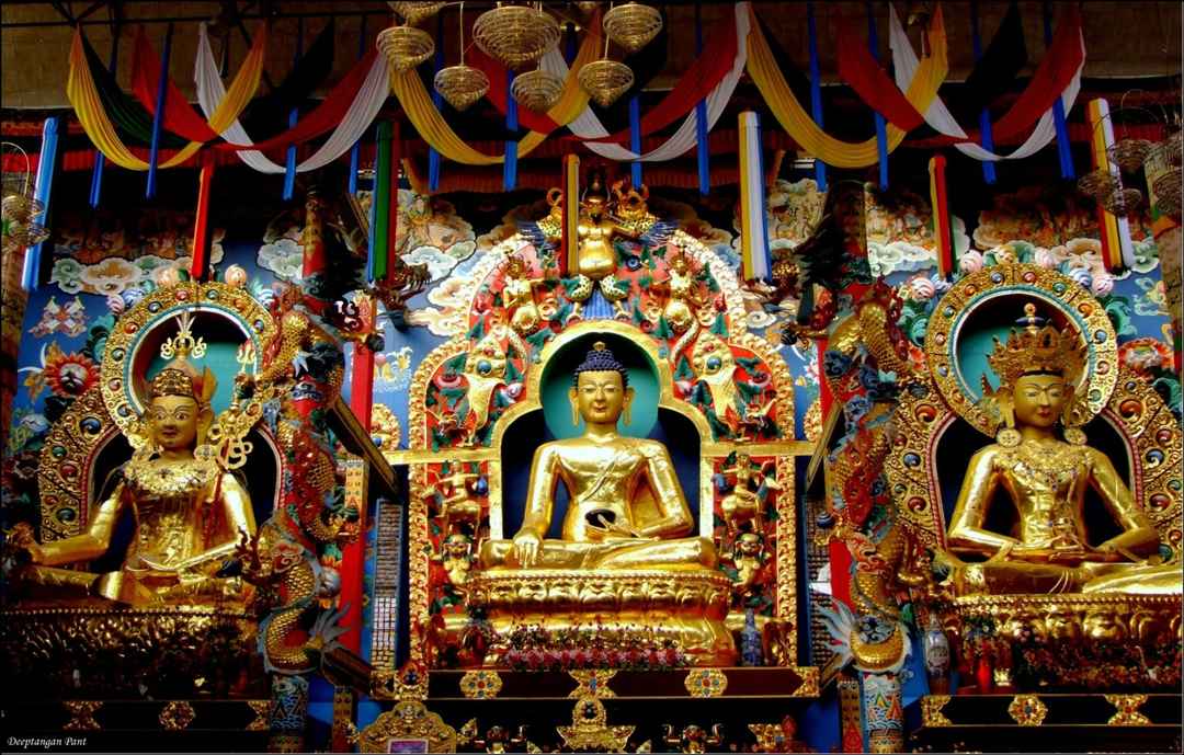 Namdroling Monastery (Golden Temple), Kushalnagar, India: View Images ...
