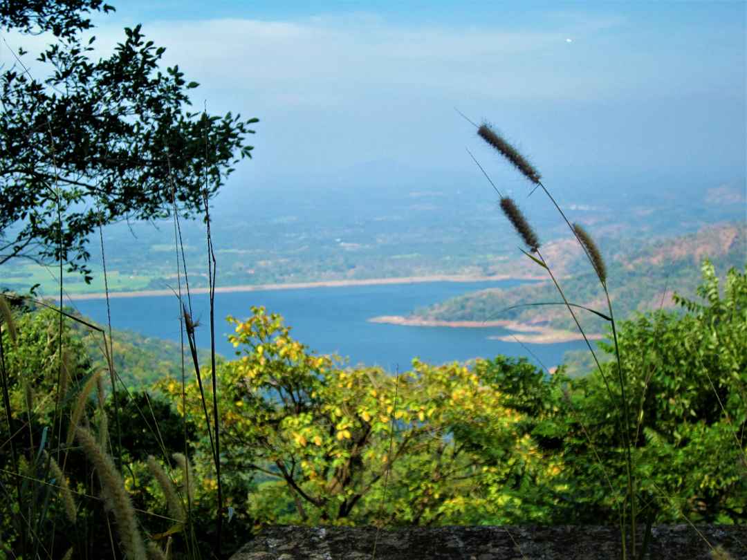 Honest, Useful Traveler Guides To Nelliyampathy 2022 | Tripoto