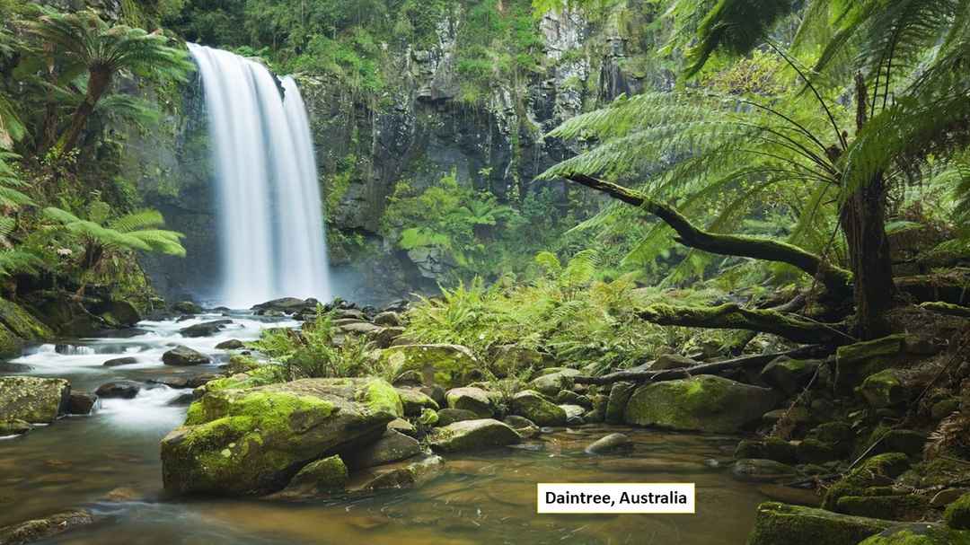 Most Beautiful Rainforests ۱۰ تا از زیبا‌ترین جنگل