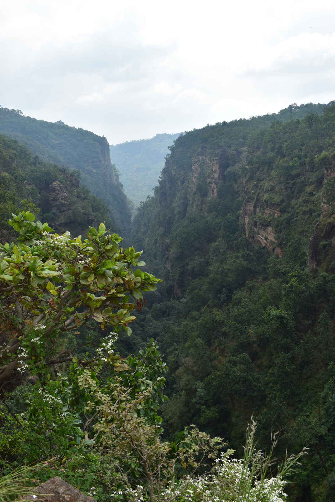 Bee Falls, Pachmarhi, India: View Images, Timing and Reviews | Tripoto