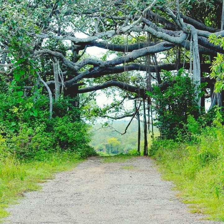 Honest, Useful Traveler Guides To Kanakapura 2022 | Tripoto