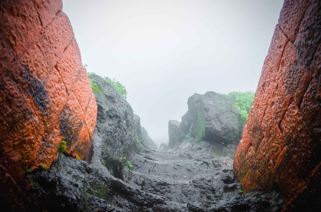 Honest, Useful Traveler Guides To Harihar 2022 | Tripoto