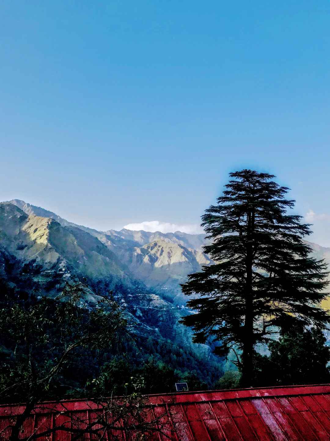 Honest, Useful Traveler Guides To Sonprayag 2022 | Tripoto