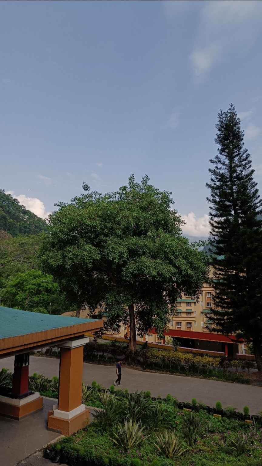 Honest, Useful Traveler Guides To Rangpo 2023 | Tripoto