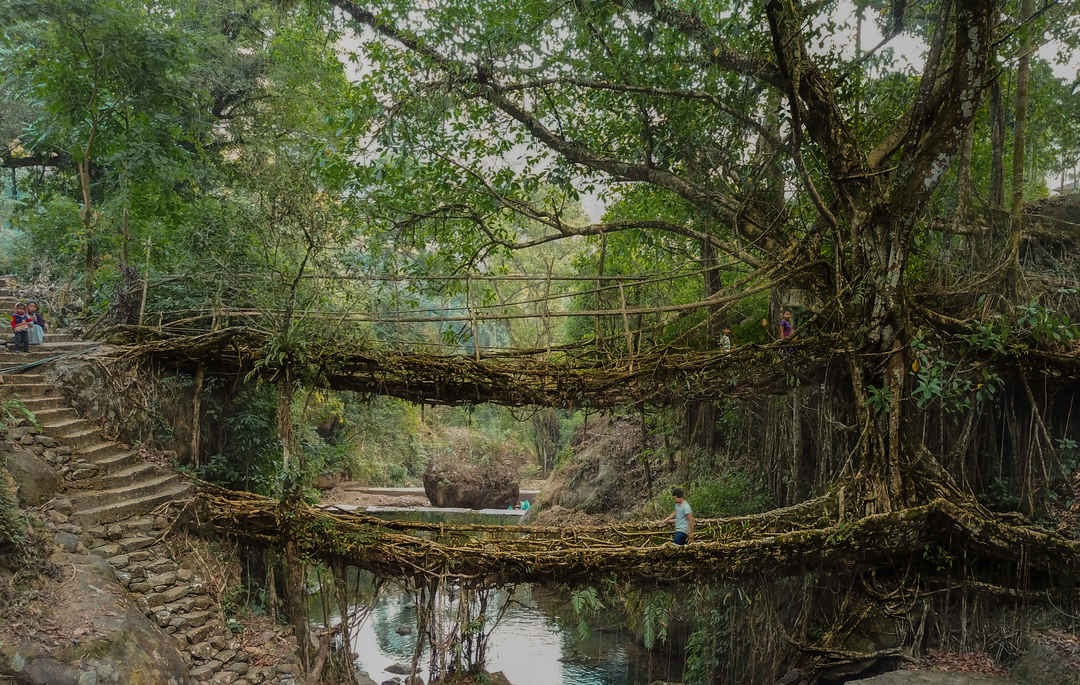 [Drones Eye] Magical Nongriat, a dreamy village in East Khasi Hills ...