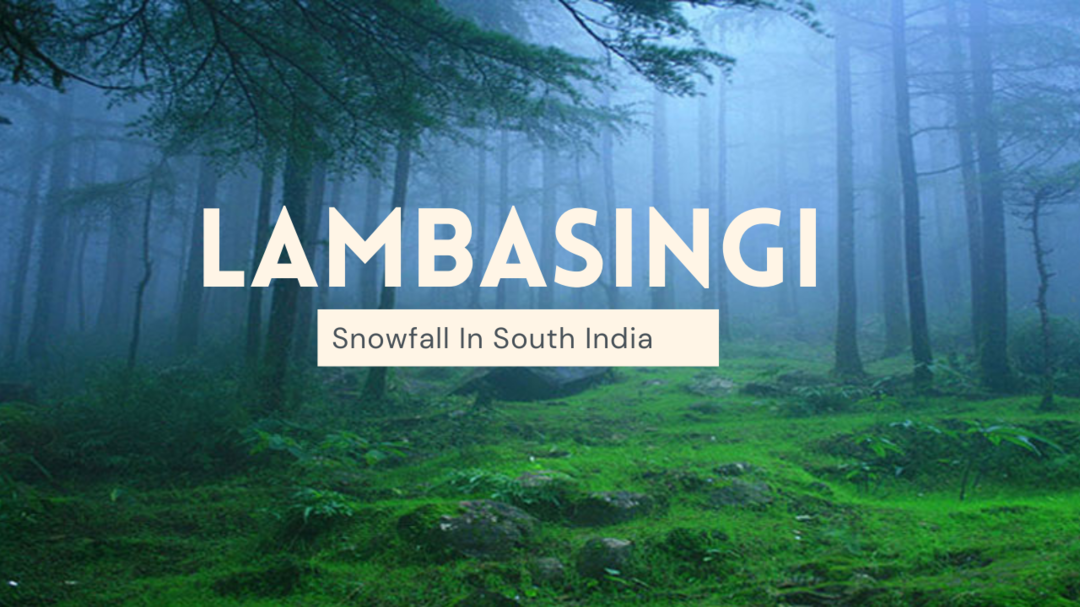 Lambasingi Snow: The Kashmir of Andhra Pradesh We Bet You Didnt Know About