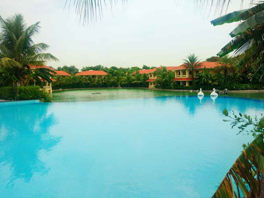 Honest, Useful Traveler Guides To Sasan Gir 2023 | Tripoto