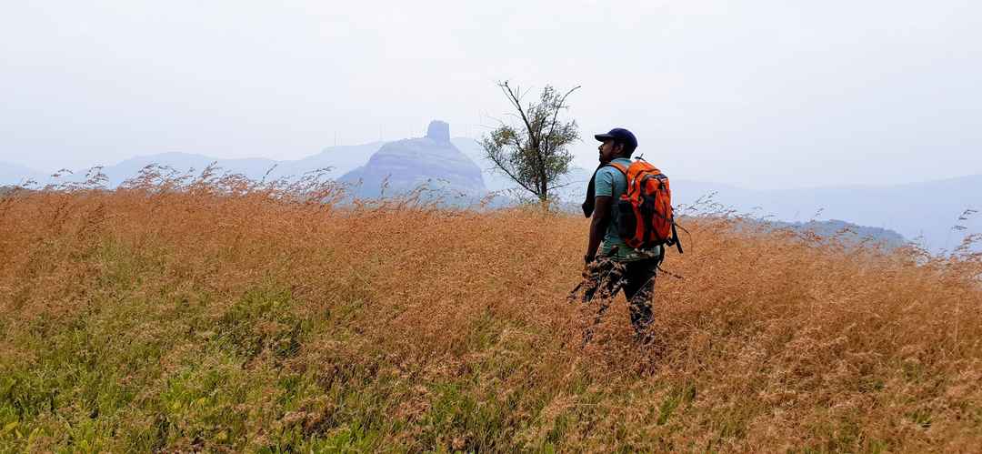 Honest, Useful Traveler Guides To Peth 2021 | Tripoto