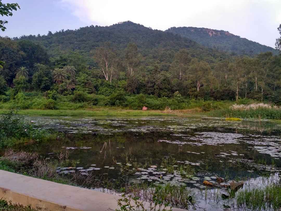 Susunia Hills, Bishnupur, India: View Images, Timing and Reviews | Tripoto