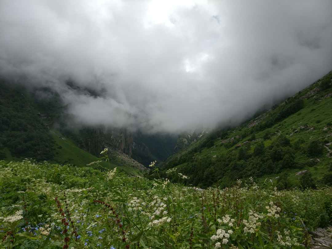 Honest, Useful Traveler Guides To Ghangaria 2021 | Tripoto