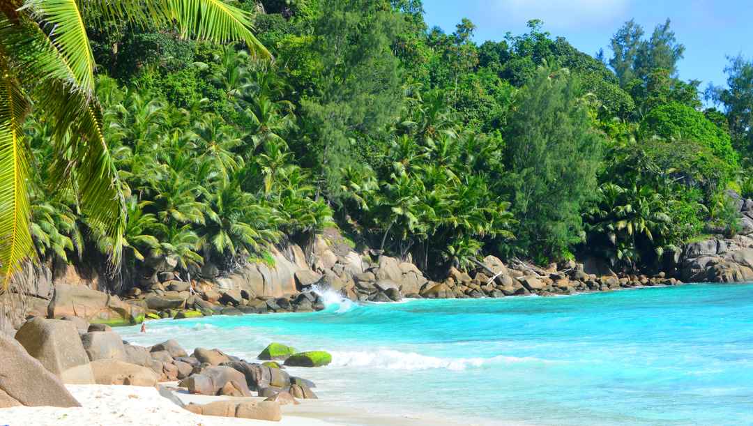 Creole Seychelles