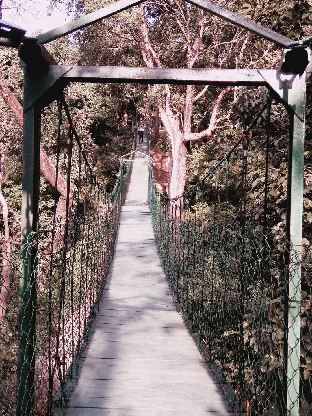 Honest, Useful Traveler Guides To Sri Nagar 2023 | Tripoto