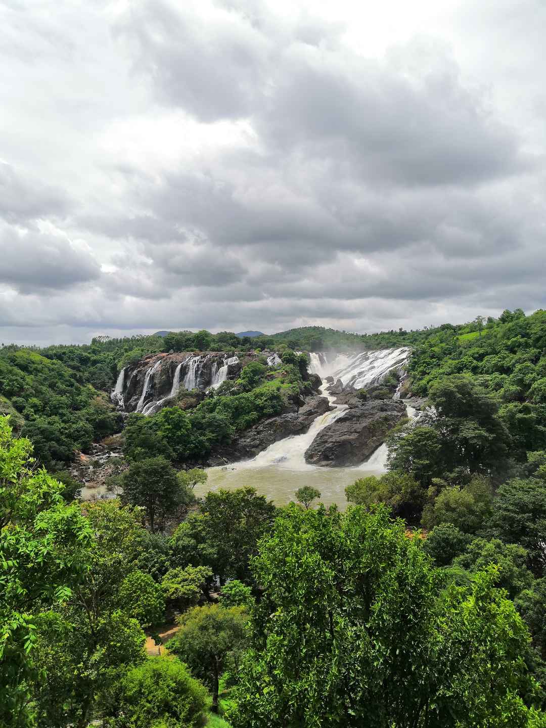 Honest, Useful Traveler Guides To Masinagudi 2021 | Tripoto