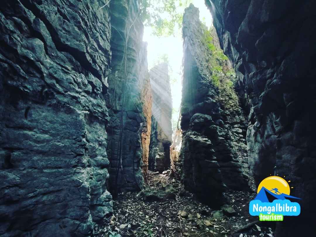 Peter Awe Sangma (@peterawesangma4529762) Travel Blogger at Tripoto