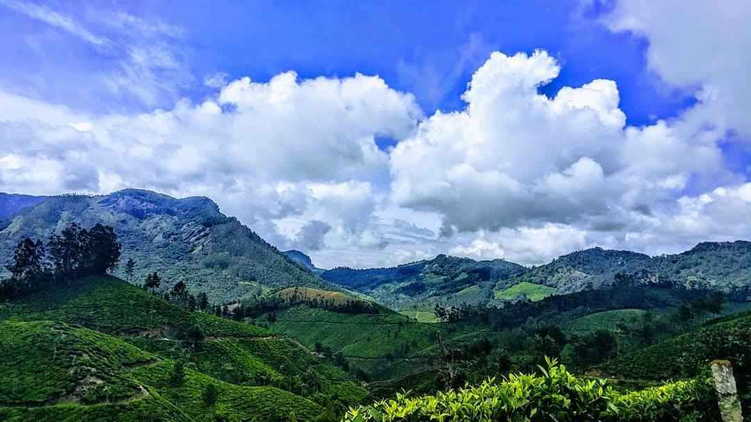 which places should I visit during my 4 days trip to Munnar ? - Tripoto