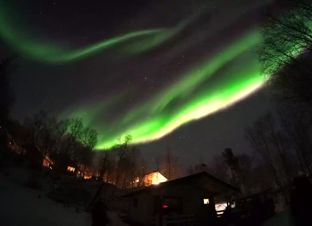 northern lights everything