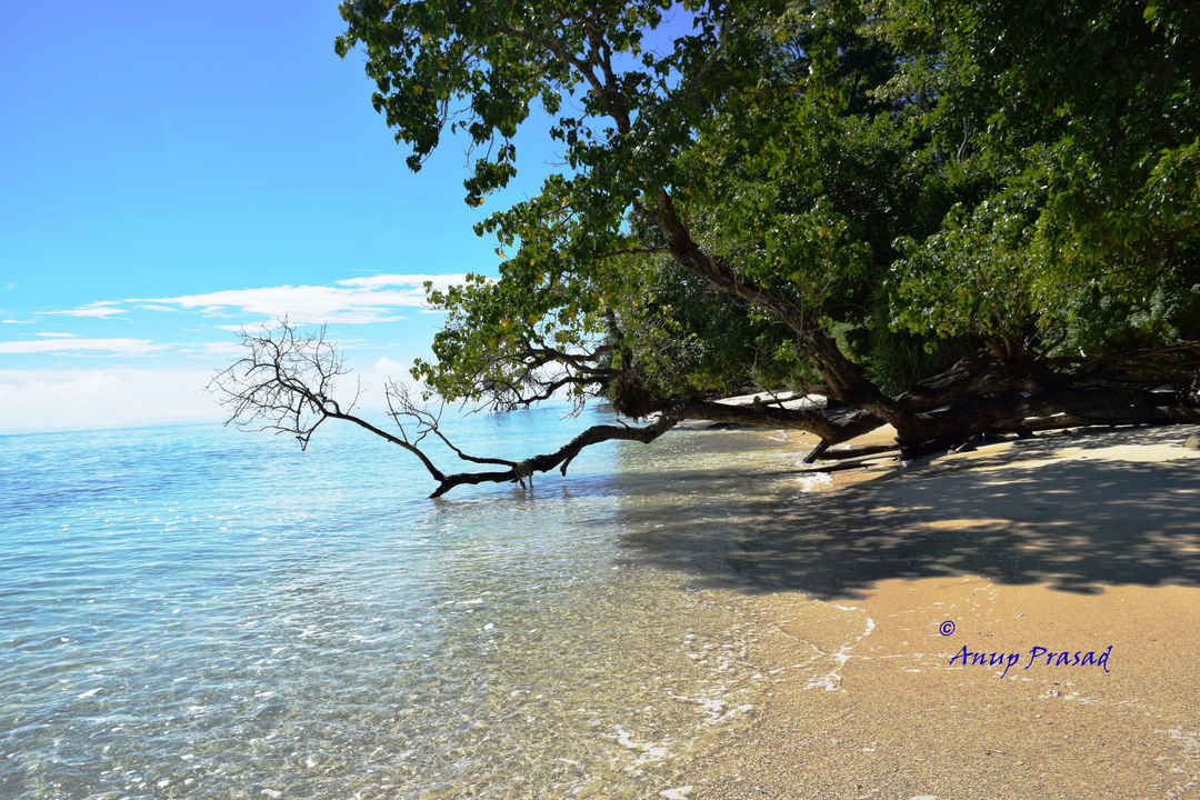 North Bay Island Andaman, Port Blair, India: View Images, Timing and ...