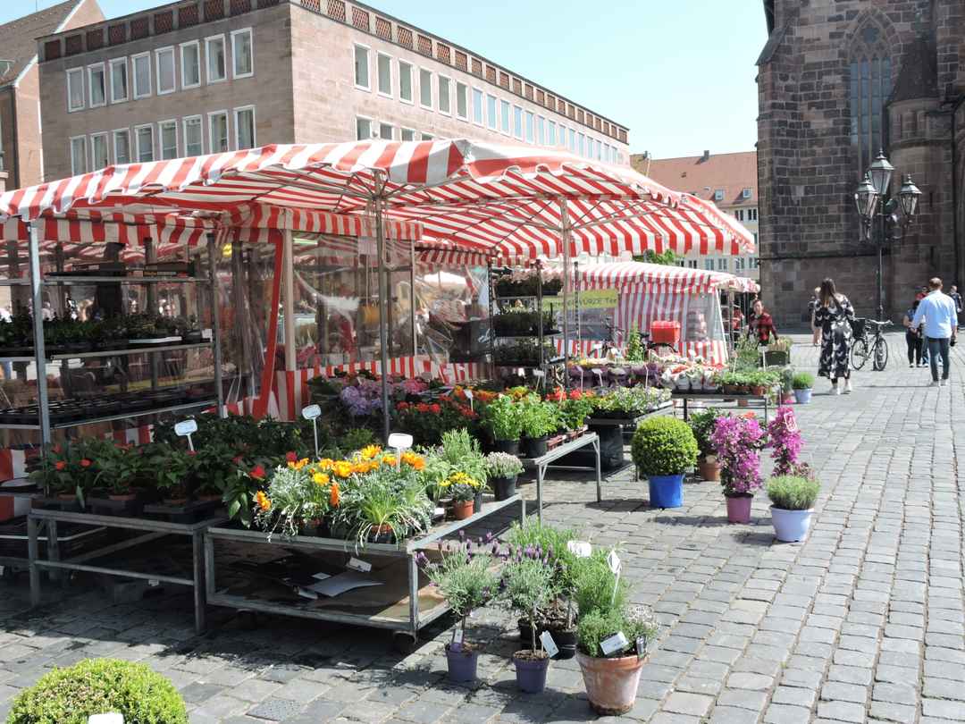 Indrani Ghatak (@indranighatak3543311) Travel Blogger at Tripoto