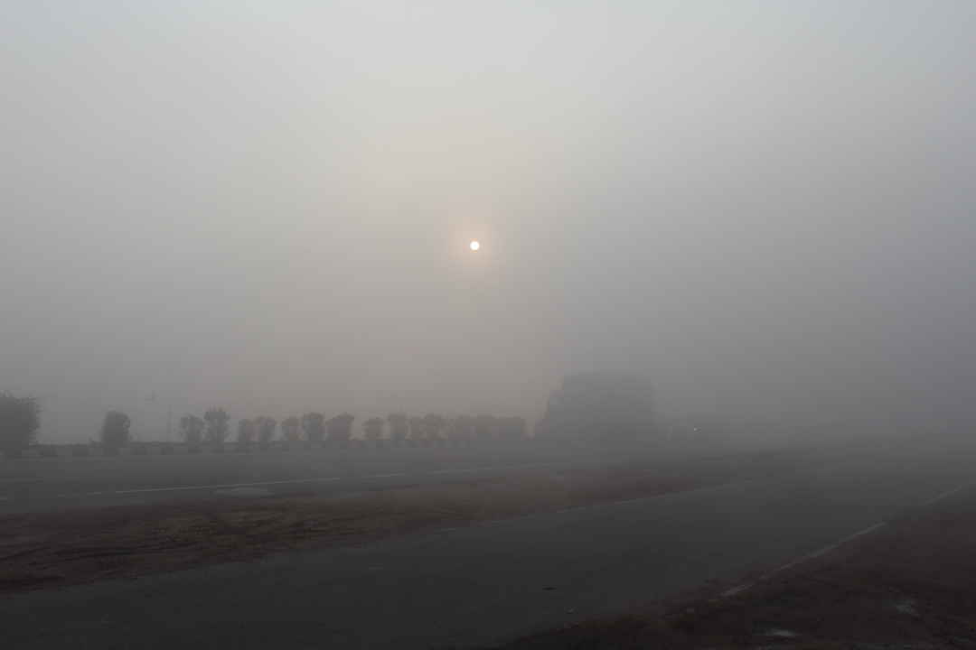 What are the places to visit in chail, Himachal Pradesh? - Tripoto