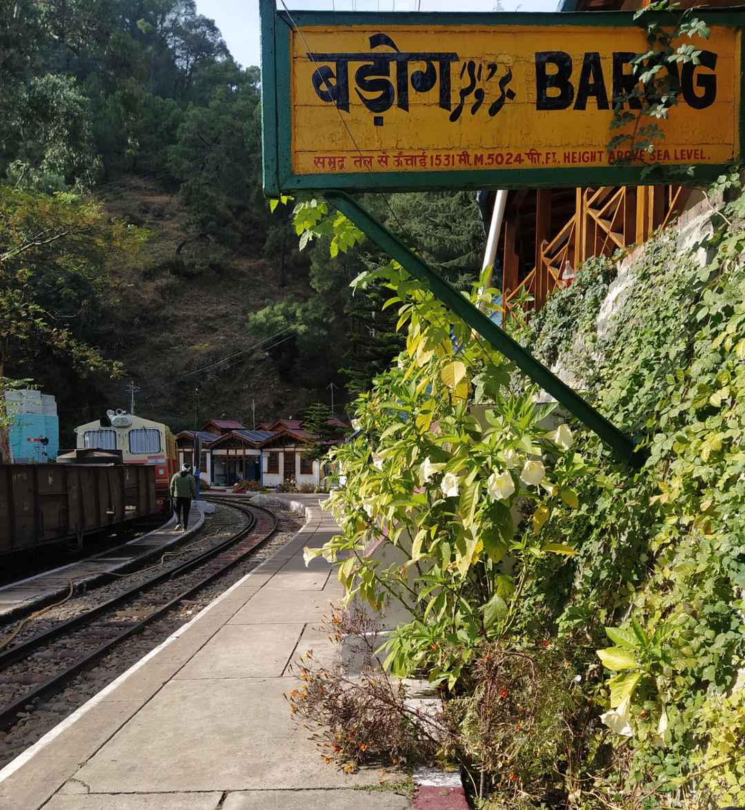Honest, Useful Traveler Guides To Barog 2023 | Tripoto