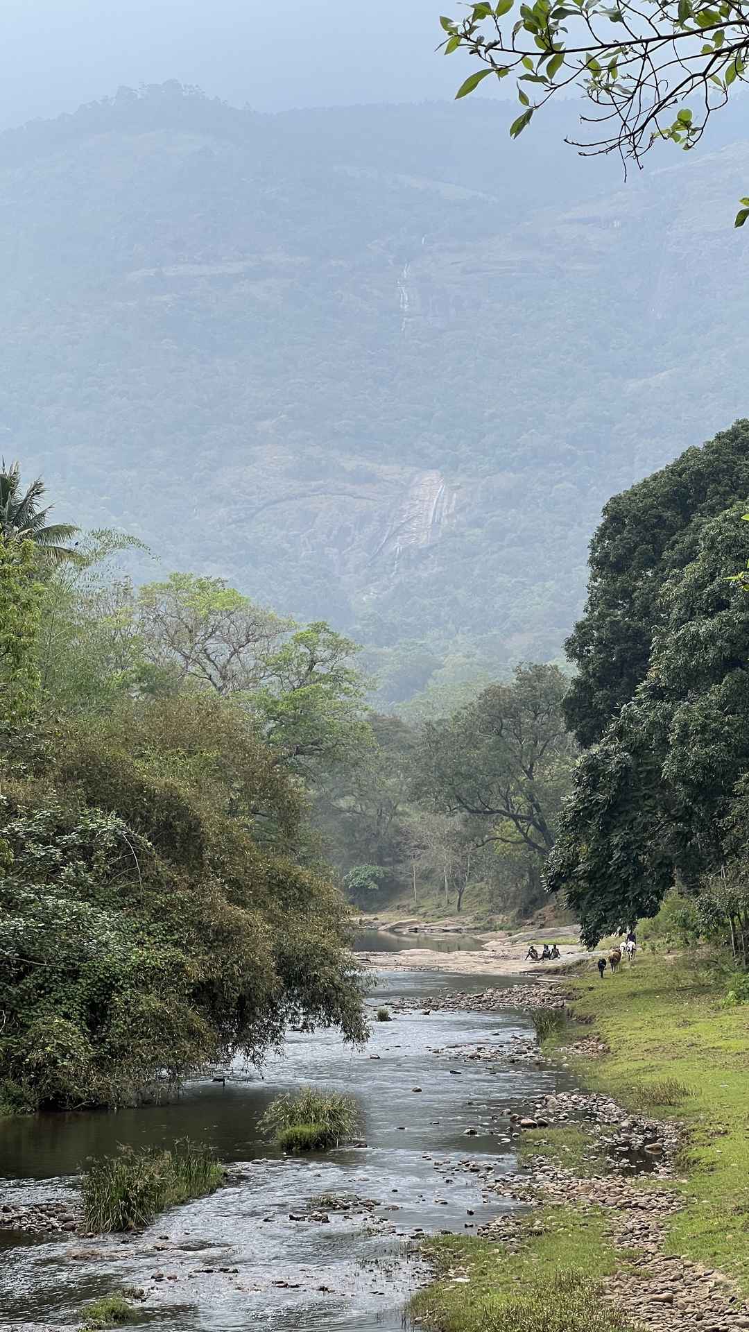 Honest, Useful Traveler Guides To Marayoor 2022 | Tripoto