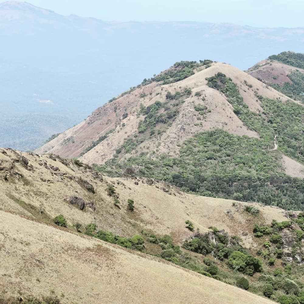 Honest, Useful Traveler Guides To Sringeri 2022 | Tripoto