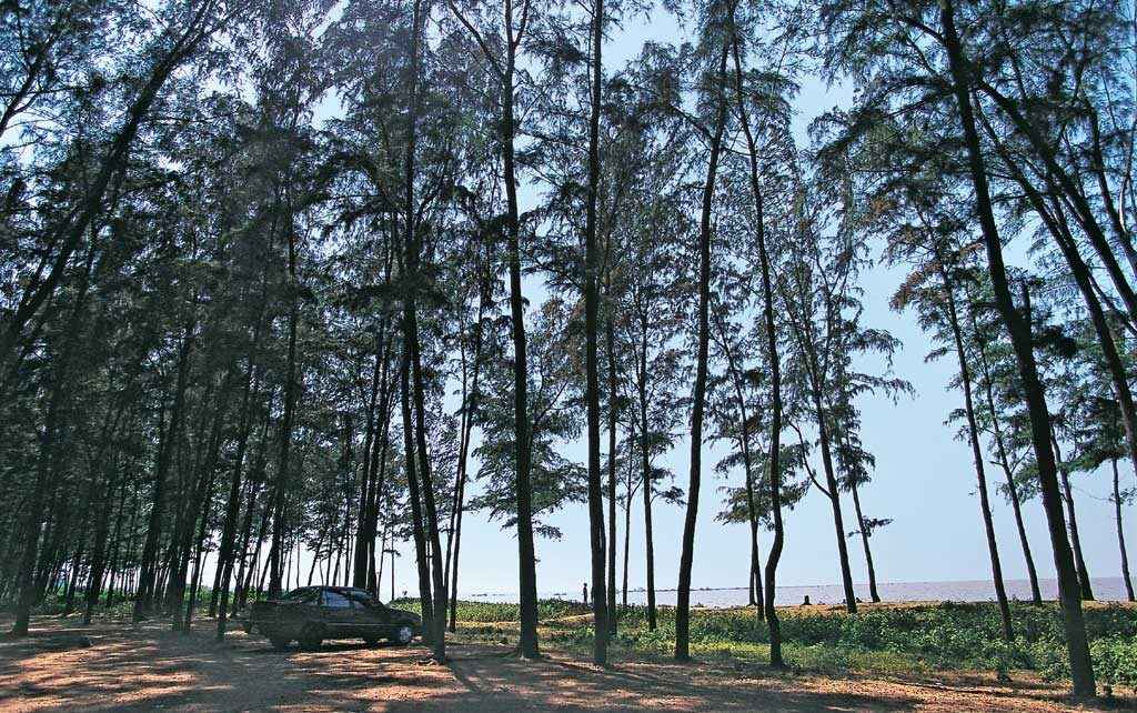 Honest, Useful Traveler Guides To Bordi 2021 | Tripoto