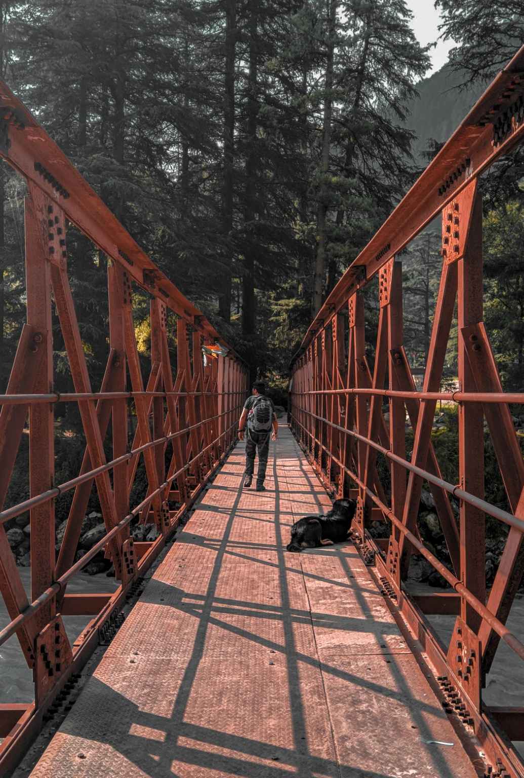 Laksh Puri (@lakshpuri) Travel Blogger at Tripoto
