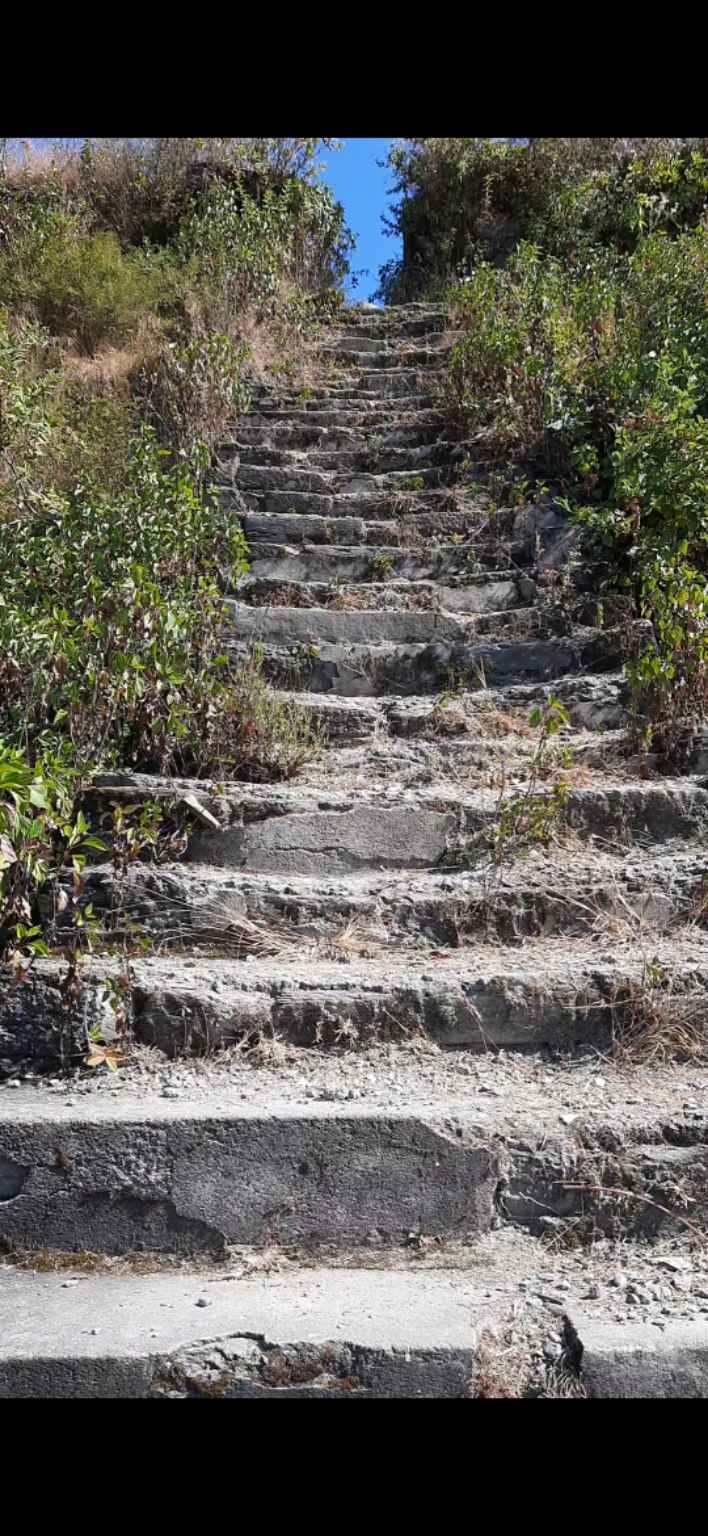 Honest, Useful Traveler Guides To Lohaghat 2022 | Tripoto